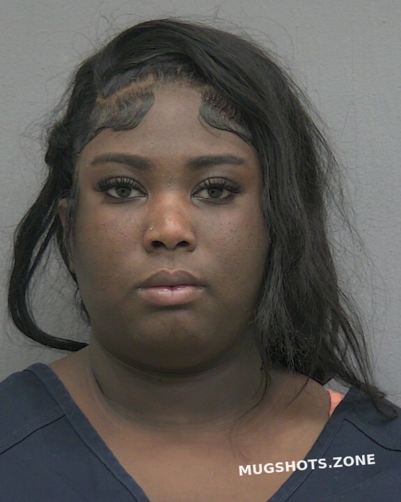 ATKINS AMAYA VICTORIA 12/22/2024 - Alachua County Mugshots Zone