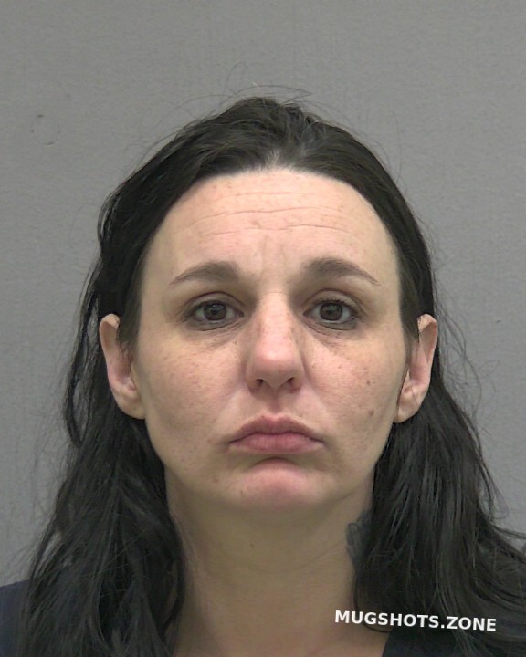 LOPEZ JESSICA CRIBBS 01/19/2025 - Alachua County Mugshots Zone