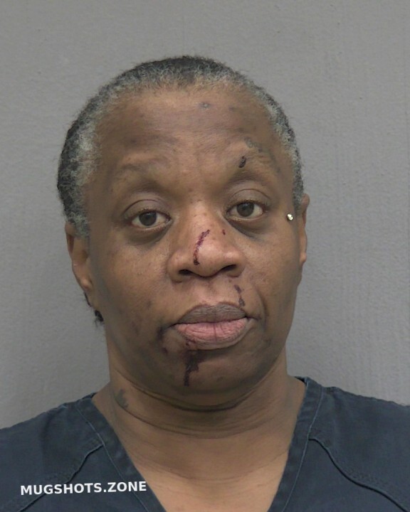 JAMES ALICIA MICHELLE 01/24/2025 - Alachua County Mugshots Zone