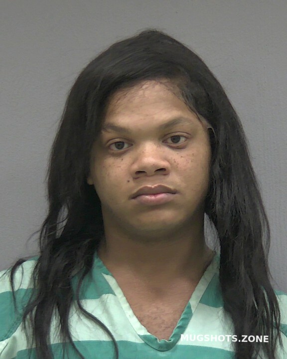 WRIGHT DEANDRA JAQUAN 01/24/2025 - Alachua County Mugshots Zone