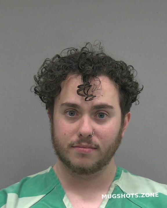 RABINOVICH ARI DAVID 01/26/2025 - Alachua County Mugshots Zone