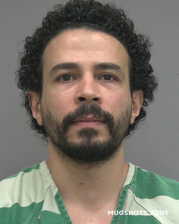 EL SAYED FAWZY AHMED MOHAMED 02/07/2025 - Alachua County Mugshots Zone