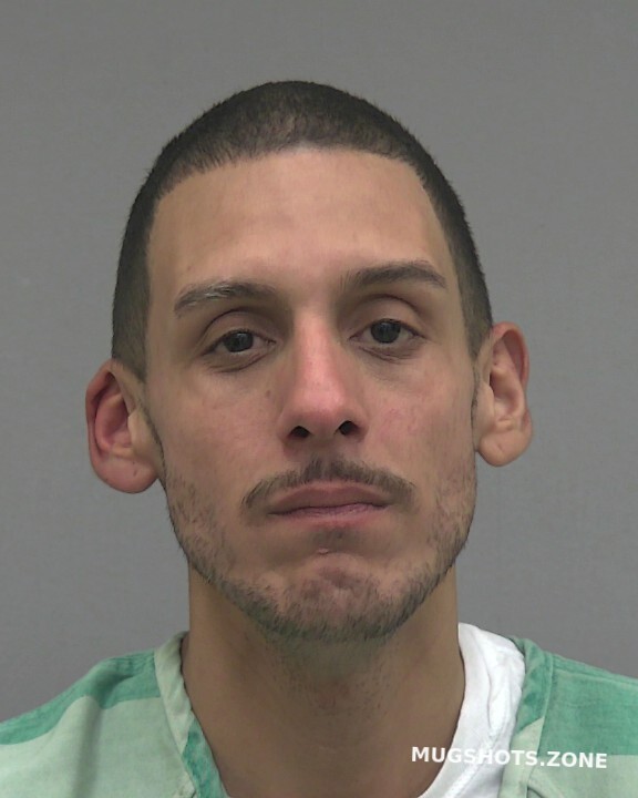 SUAREZ REYNALDO PAUL 02/20/2025 - Alachua County Mugshots Zone