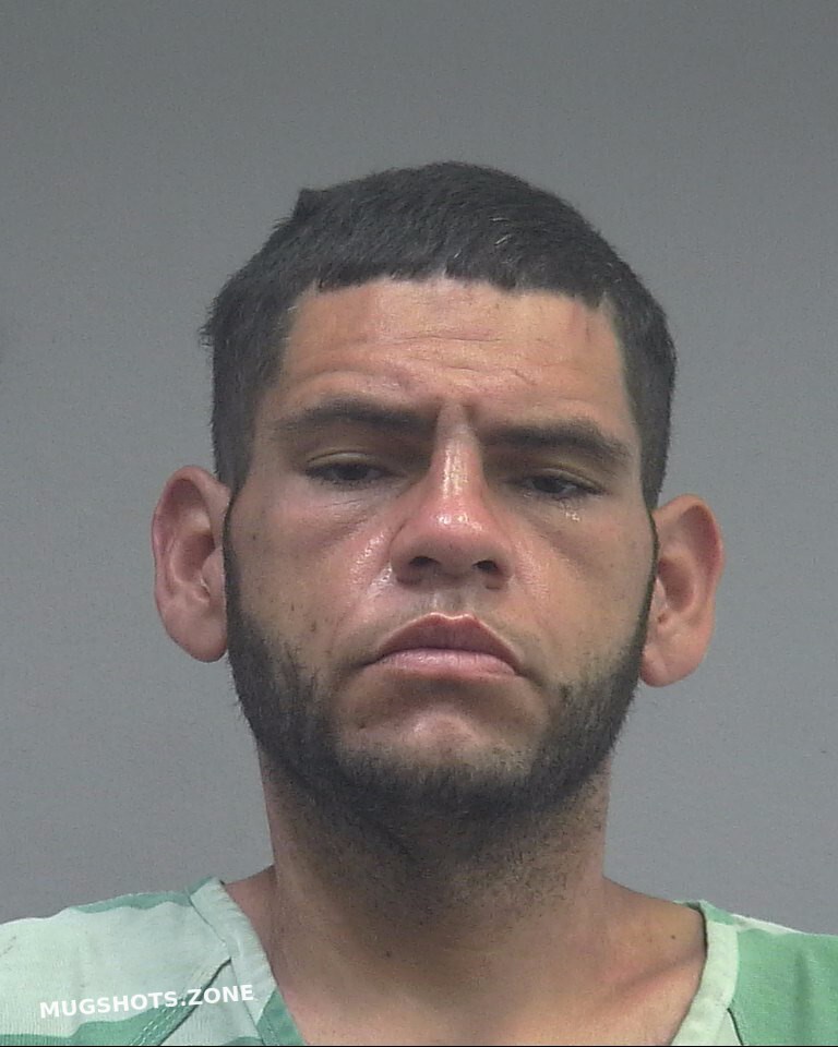 TORRES RODRIGUEZ ASHLEY JOVAN 02/21/2025 - Alachua County Mugshots Zone