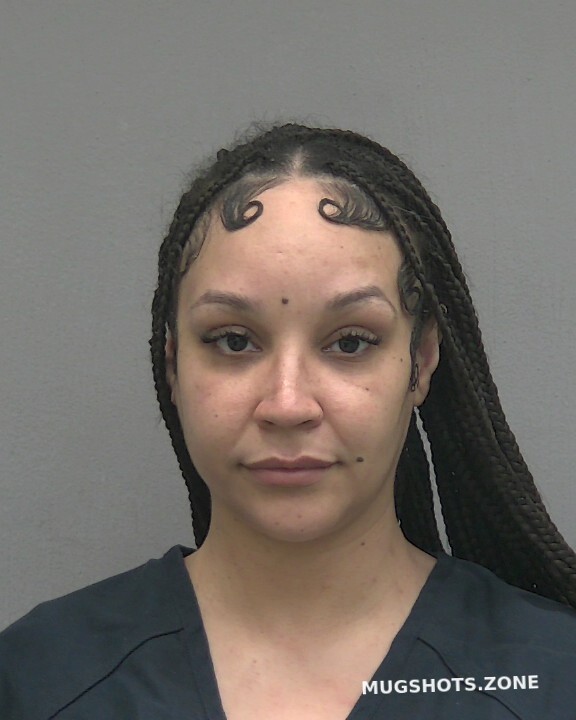 JAMES ALANA NICOLE 02/25/2025 - Alachua County Mugshots Zone