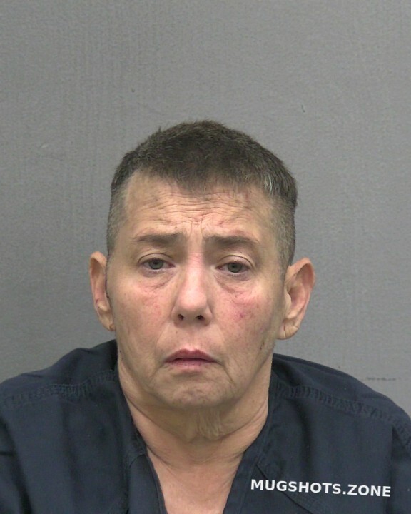 MCLAUGHLIN BRANDY ALEXIS 03/01/2025 - Alachua County Mugshots Zone