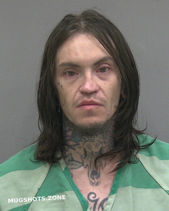 WEGESEND CAMERON DENNIS LOUIE 03/11/2025 - Alachua County Mugshots Zone