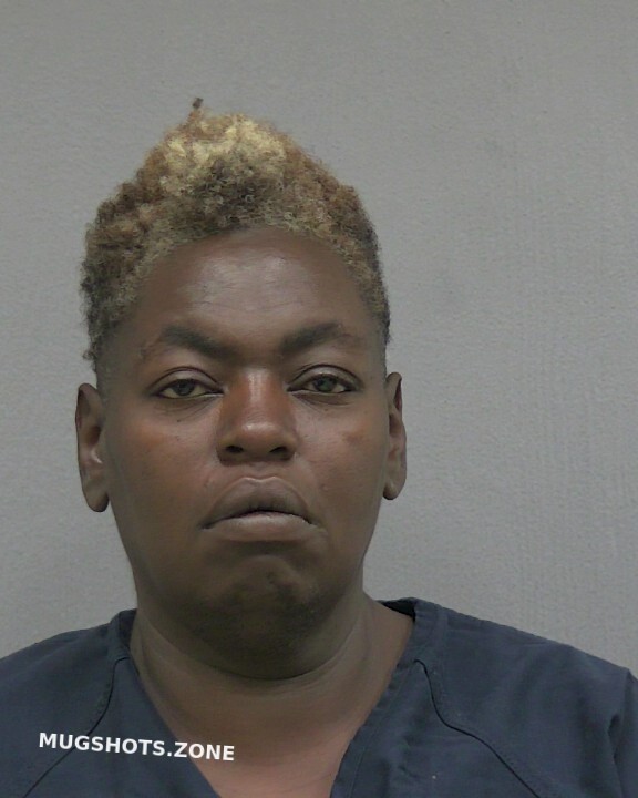 GARLAND KRISTINA MICHELLE 03/22/2025 - Alachua County Mugshots Zone