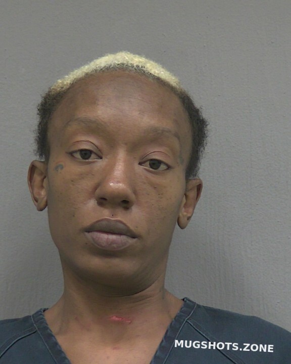 BRADSHAW SILK EBONY 04/05/2025 - Alachua County Mugshots Zone