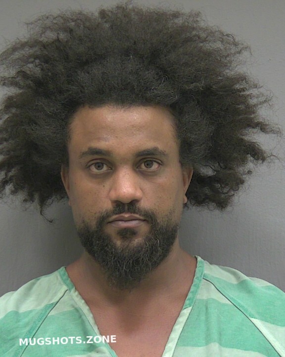 WILLIAMS NATHAN LEE 04/26/2025 - Alachua County Mugshots Zone