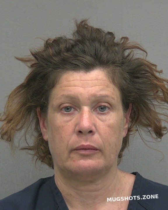 GREINER AMY CONSTANCE 05/01/2025 - Alachua County Mugshots Zone
