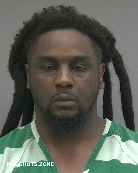 LIGHTNER ANTHONY DEAN 05/17/2025 - Alachua County Mugshots Zone