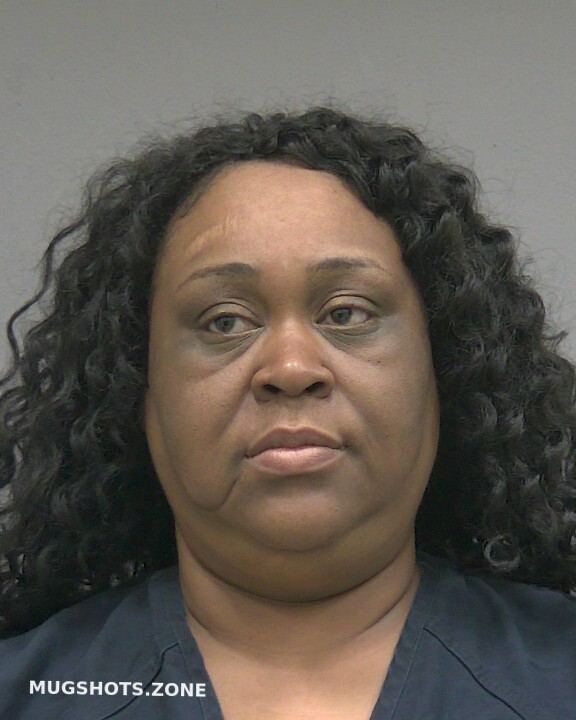 ELMORE CHERISE MARIA 05/17/2025 - Alachua County Mugshots Zone