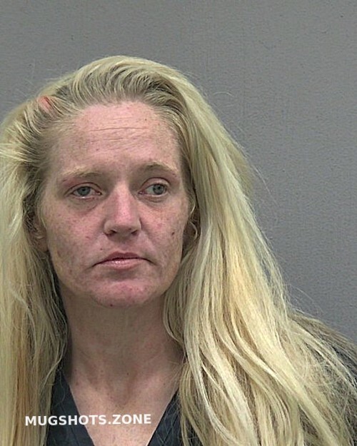 REEDER JENNIFER JEAN 12/15/2025 - Alachua County Mugshots Zone