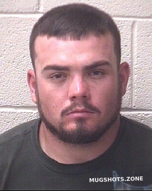 FRANKLIN ANDREW MASON 07/09/2022 - Alexander County Mugshots Zone