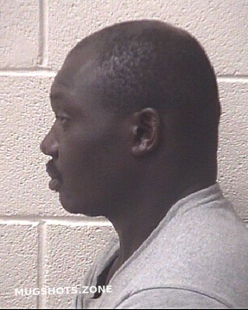 ELLIS LASHAUN DIANTEA 07/28/2023 - Alexander County Mugshots Zone
