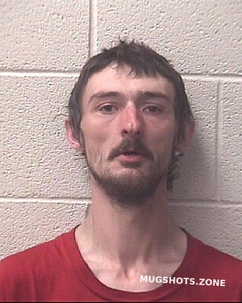 REEDY BRIAN KEITH 03/26/2024 - Alexander County Mugshots Zone