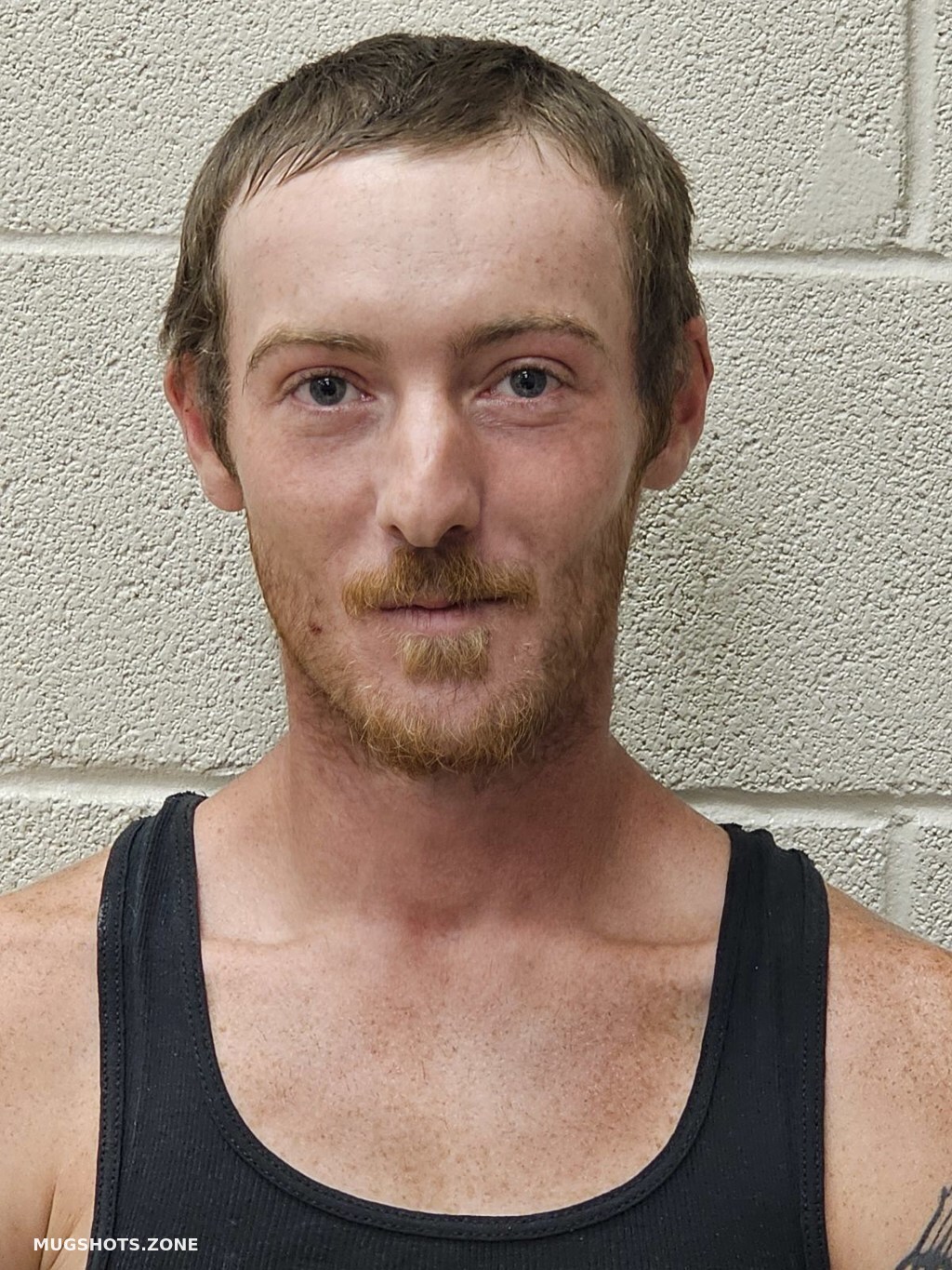 PLESS DAMION HUNTER 09/08/2024 - Alexander County Mugshots Zone