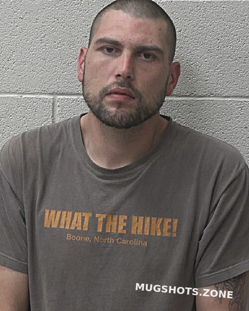COOK JAMES EDWARD 03/05/2025 - Alexander County Mugshots Zone