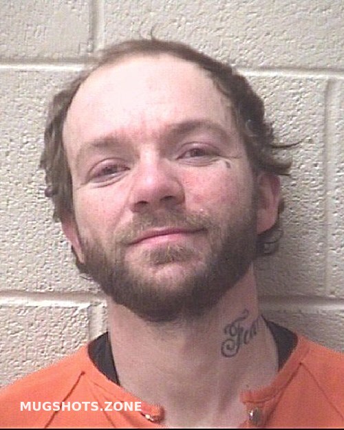 GOINS BRANDON LEE 03/20/2025 - Alexander County Mugshots Zone