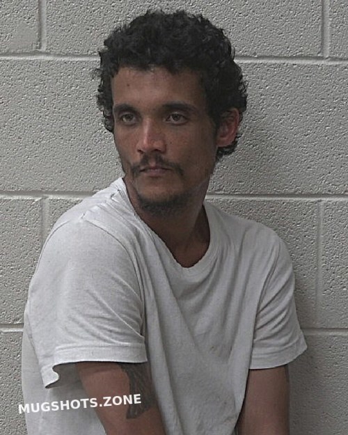 SADDLER EMMANUEL JAMES 06/13/2025 - Alexander County Mugshots Zone