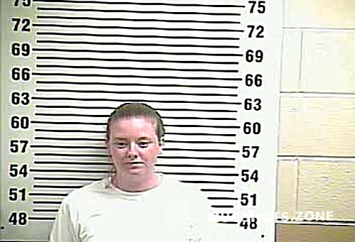 SLOAN TABITHA S 04/13/2021 - Allen County Mugshots Zone