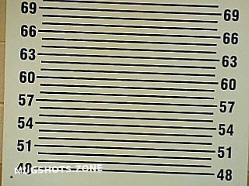 BATTS JAMEL D 11/18/2022 - Allen County Mugshots Zone