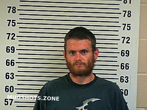 WALLACE DAVID J 04/10/2023 - Allen County Mugshots Zone