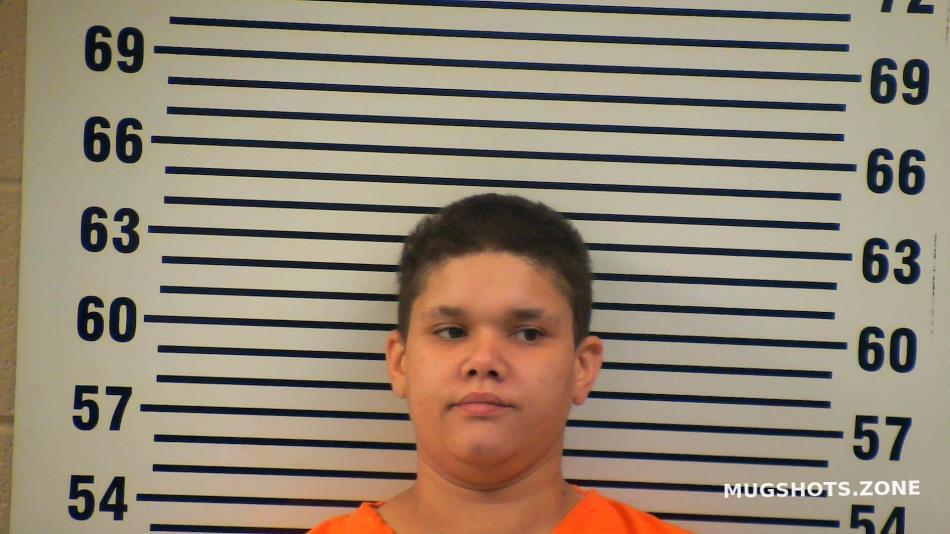 TUCCI DANIELLE L 11/30/2023 - Allen County Mugshots Zone