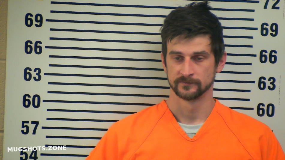 ZARADICH NICHOLAS R 02/03/2024 - Allen County Mugshots Zone