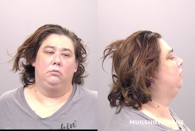 BILLENSTEIN NICOLE LYNN 02/02/2025 - Allen County Mugshots Zone