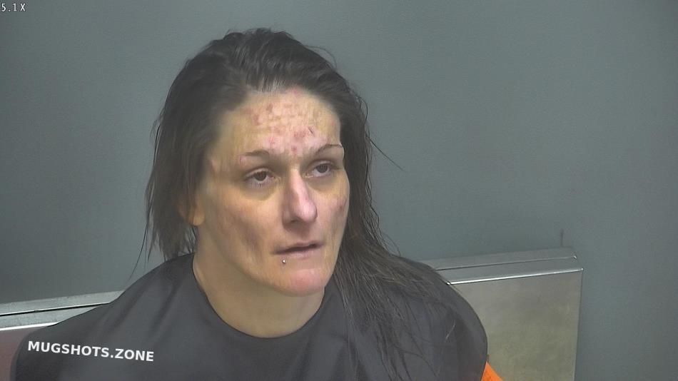 Lott Diane Nicole 04122023 Amherst County Mugshots Zone