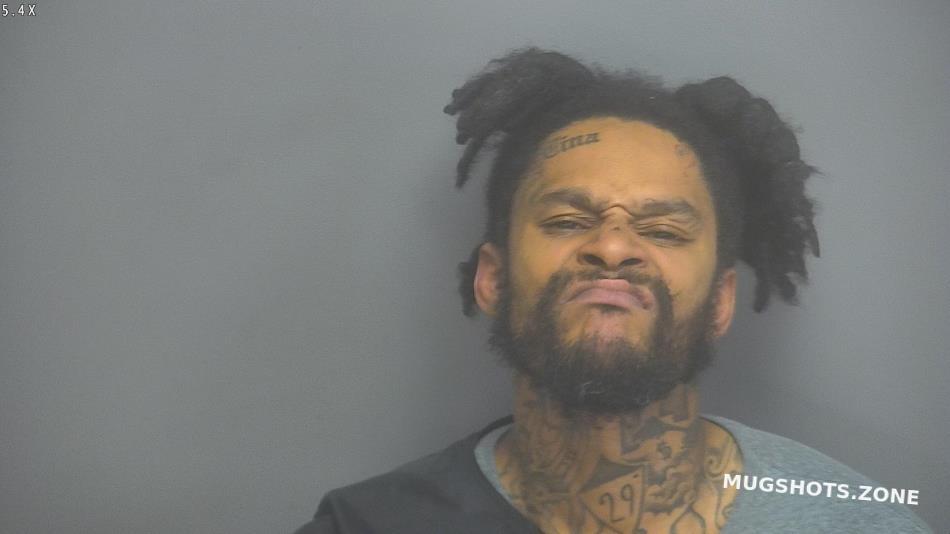 GOINS DARNELL OBRIAN 02/19/2025 - Amherst County Mugshots Zone