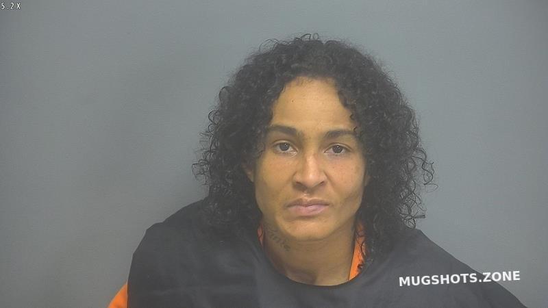 REVEL CATHERINE LEE MICHELLE 06/11/2025 - Amherst County Mugshots Zone