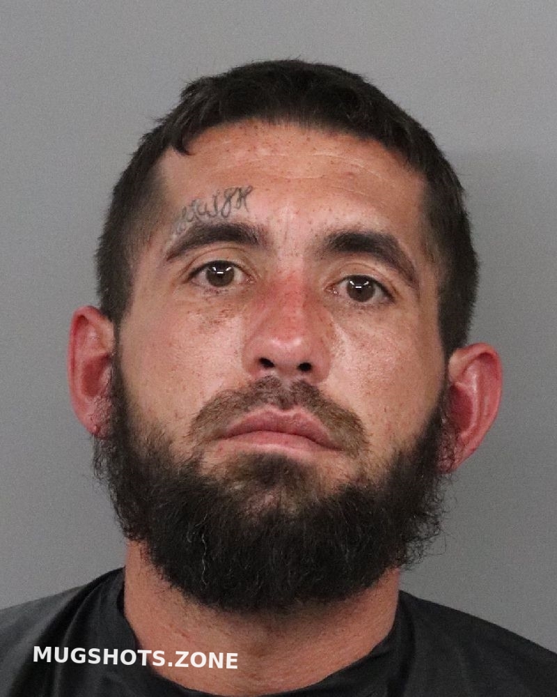 SEAWRIGHT RUSTY JASON EDWARD 01/23/2021 - Anderson County Mugshots Zone
