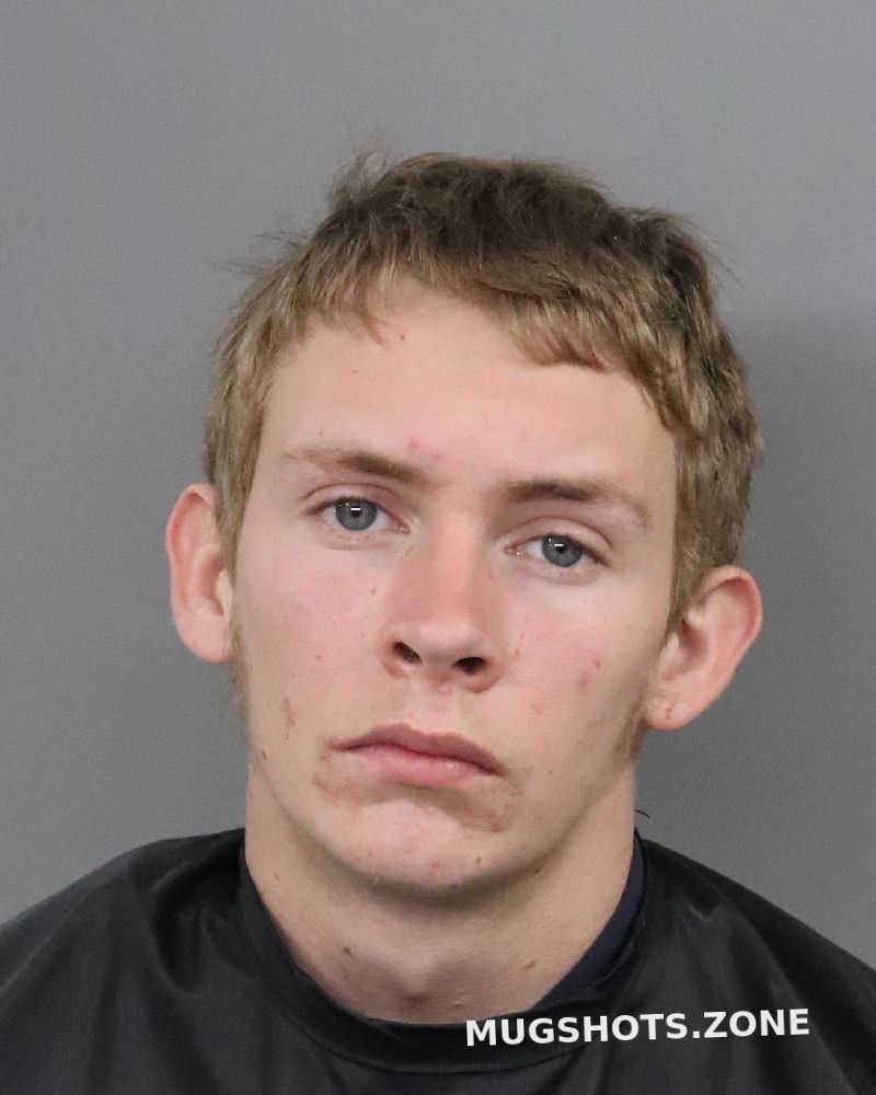 MITCHELL STEPHEN DAKOTA 01/29/2021 - Anderson County Mugshots Zone