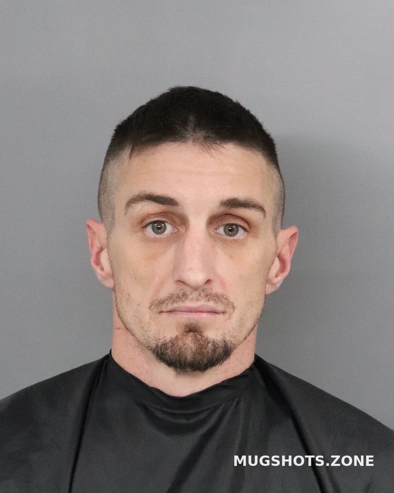 DAVIDSON JOEL DANIEL 02/20/2021 - Anderson County Mugshots Zone