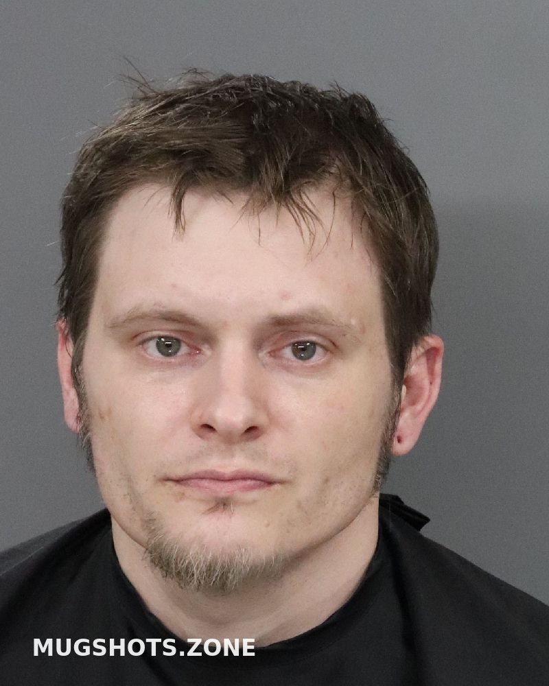 MOSELEY MICHAEL TYLER 02/22/2021 - Anderson County Mugshots Zone