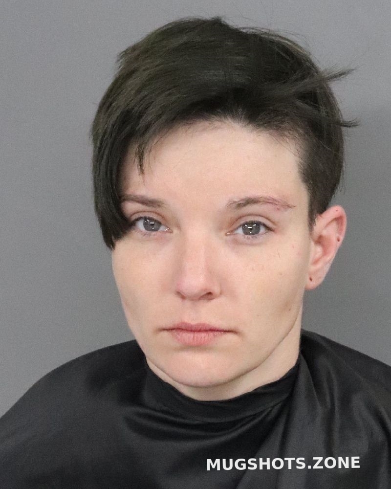 WHITMORE HEATHER RENEE 03/06/2021 - Anderson County Mugshots Zone