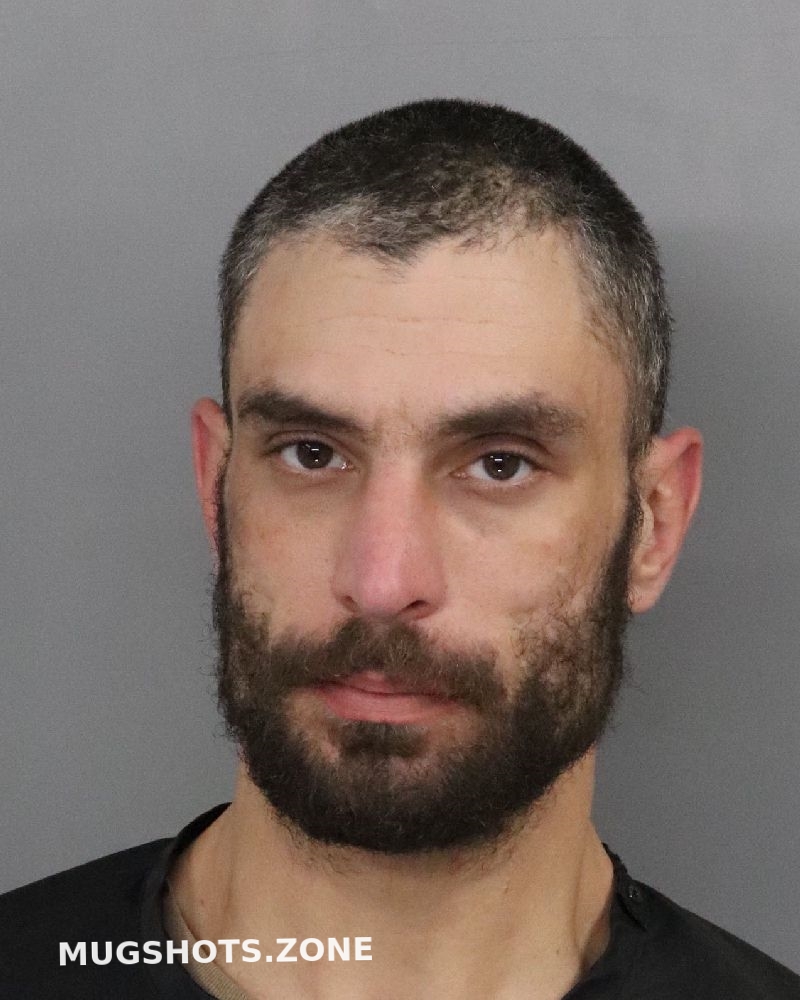 ALLISON RYAN SCOTT 03/20/2021 - Anderson County Mugshots Zone