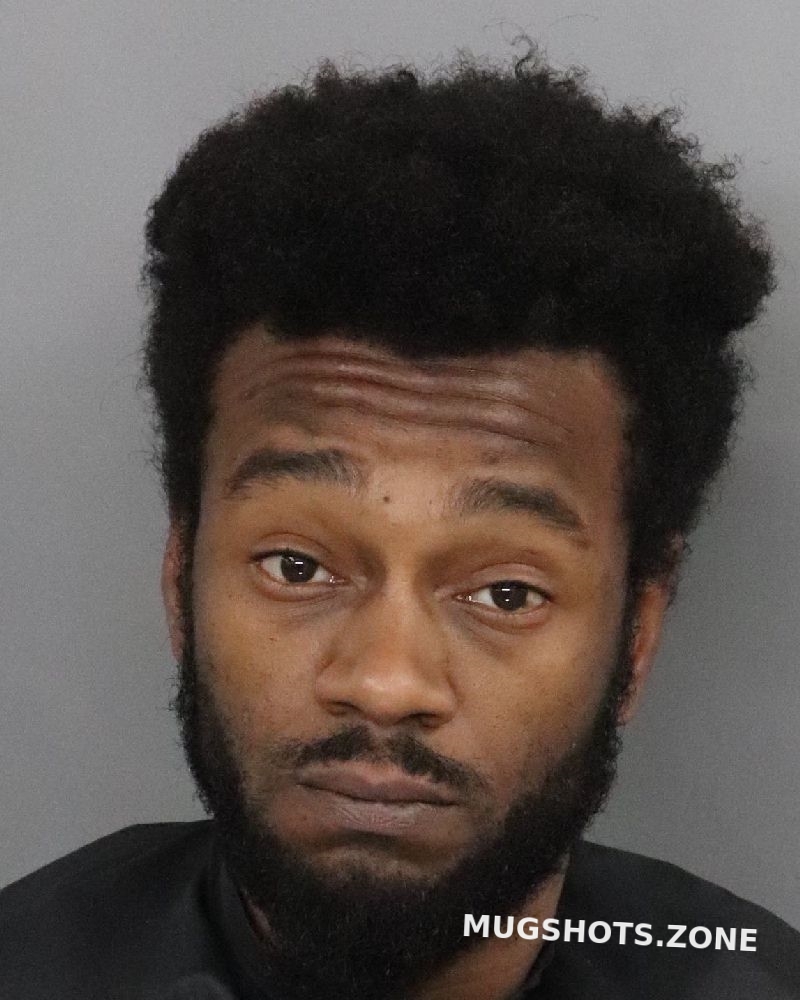 GAMBRELL BRANDON EDWARD 03/21/2021 - Anderson County Mugshots Zone