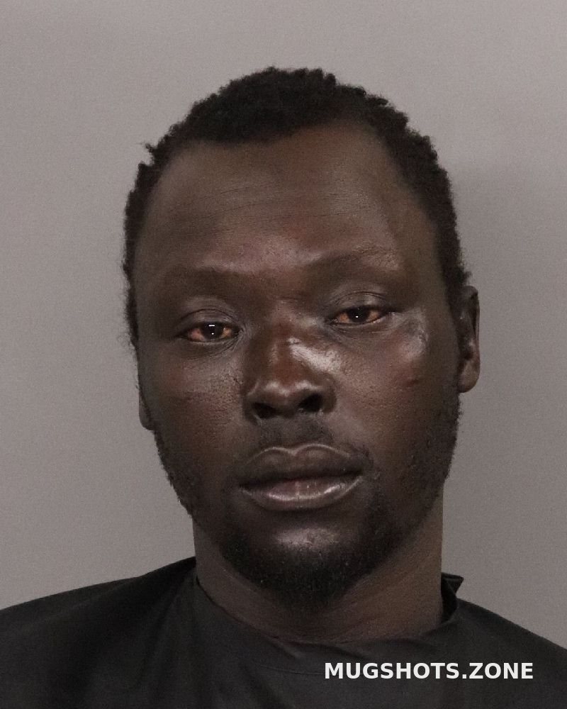 LUKA VUNI DAVID 03/21/2021 - Anderson County Mugshots Zone