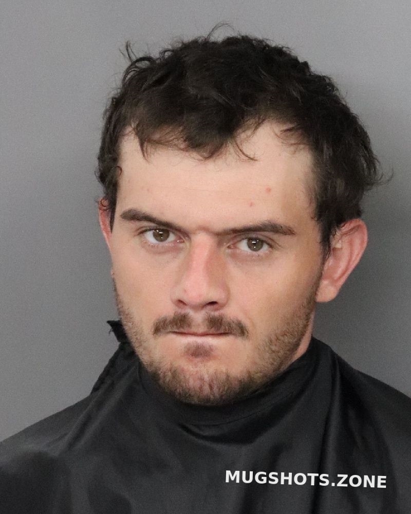 SHULER ANTHONY CHASE 03/29/2021 - Anderson County Mugshots Zone