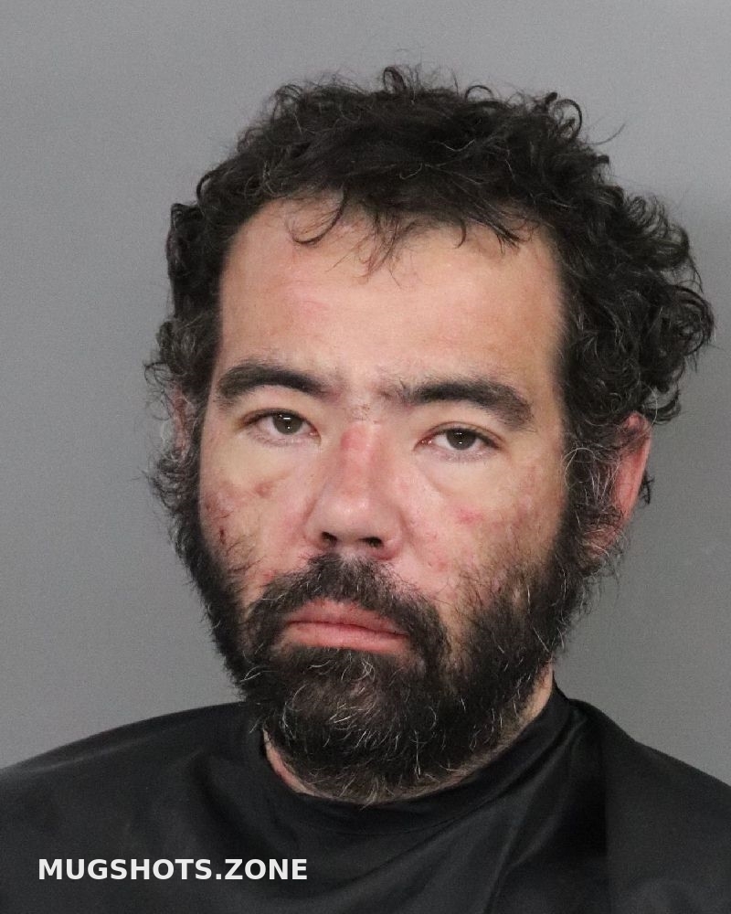 LAWSON LESTER LESLEY III 04/06/2021 - Anderson County Mugshots Zone