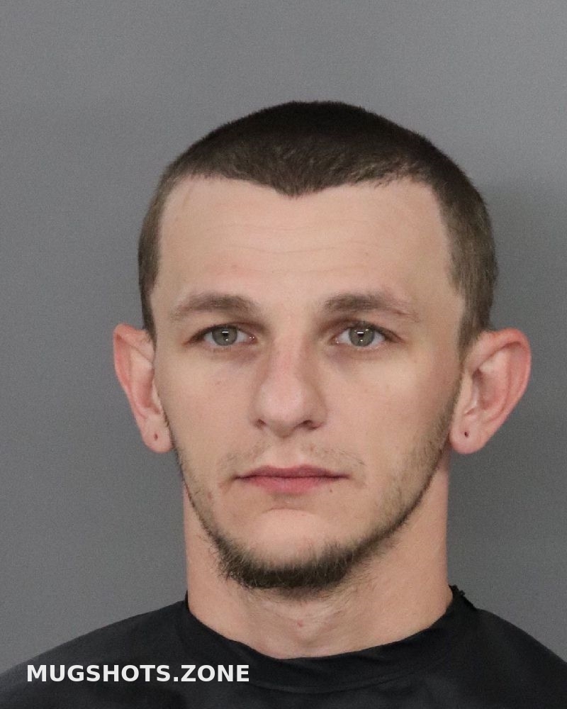 GREGORY DAVID LEE 04/13/2021 - Anderson County Mugshots Zone