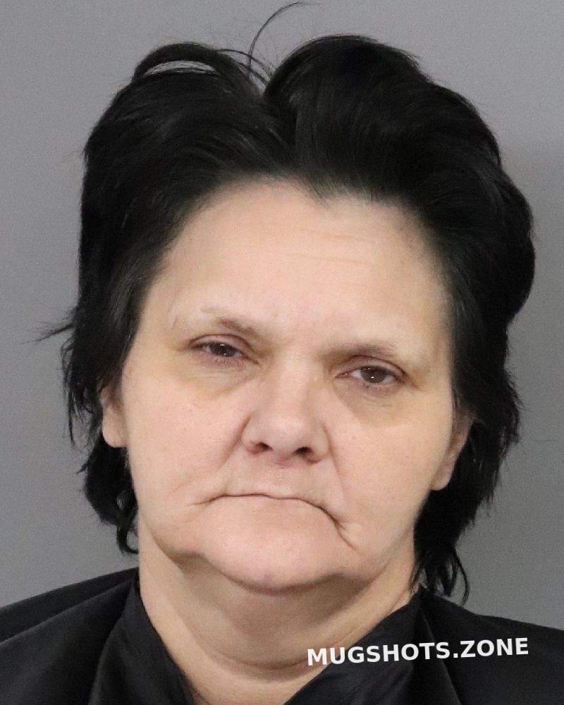 DAVIS ANN MARIE 04/16/2021 - Anderson County Mugshots Zone