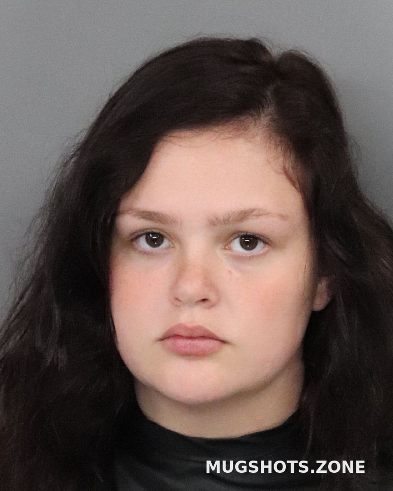 THOMPSON ALYSON MAE 04/16/2021 - Anderson County Mugshots Zone