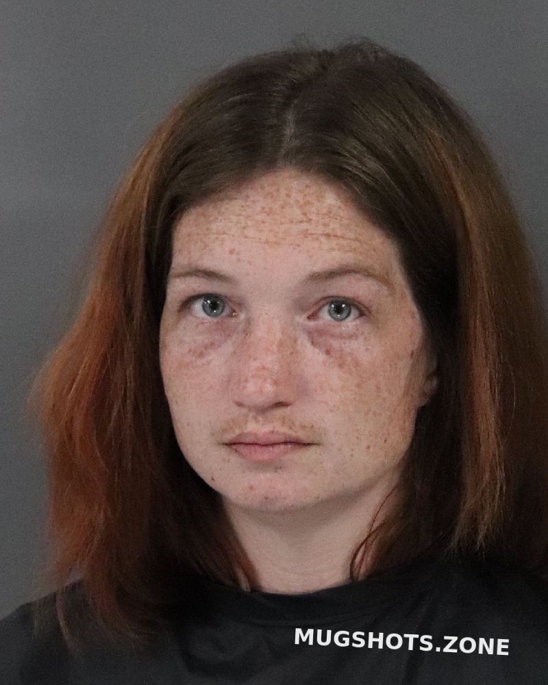 POOLE CASEY ELISE 04/26/2021 - Anderson County Mugshots Zone