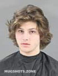 EZZELL STEPHEN DAVIS 12/11/2021 - Anderson County Mugshots Zone