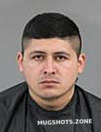 ELOY CASTRO MORENO 01/05/2024 - Anderson County Mugshots Zone